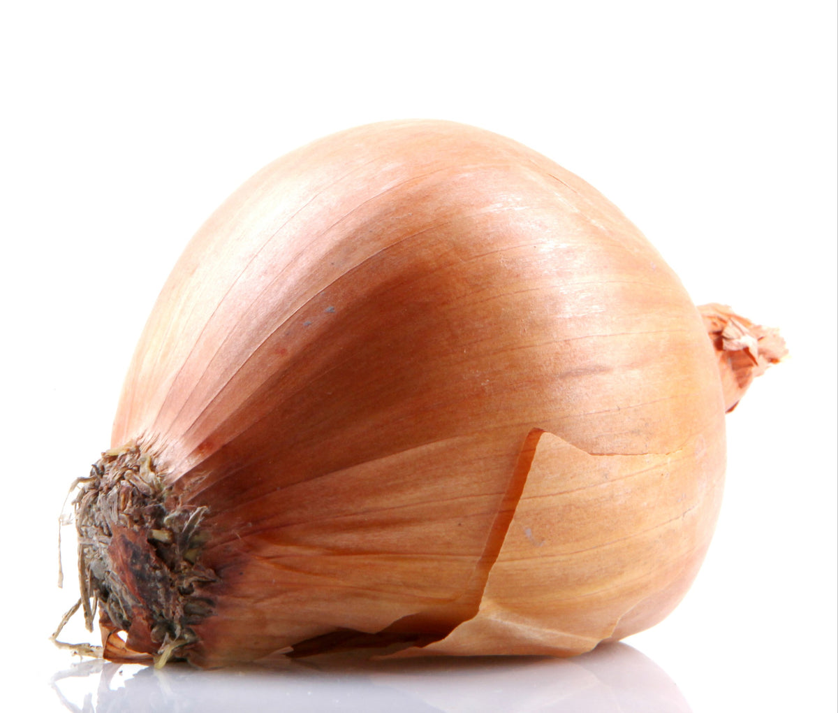 Onion - Gold Shallot – Harvest Markets